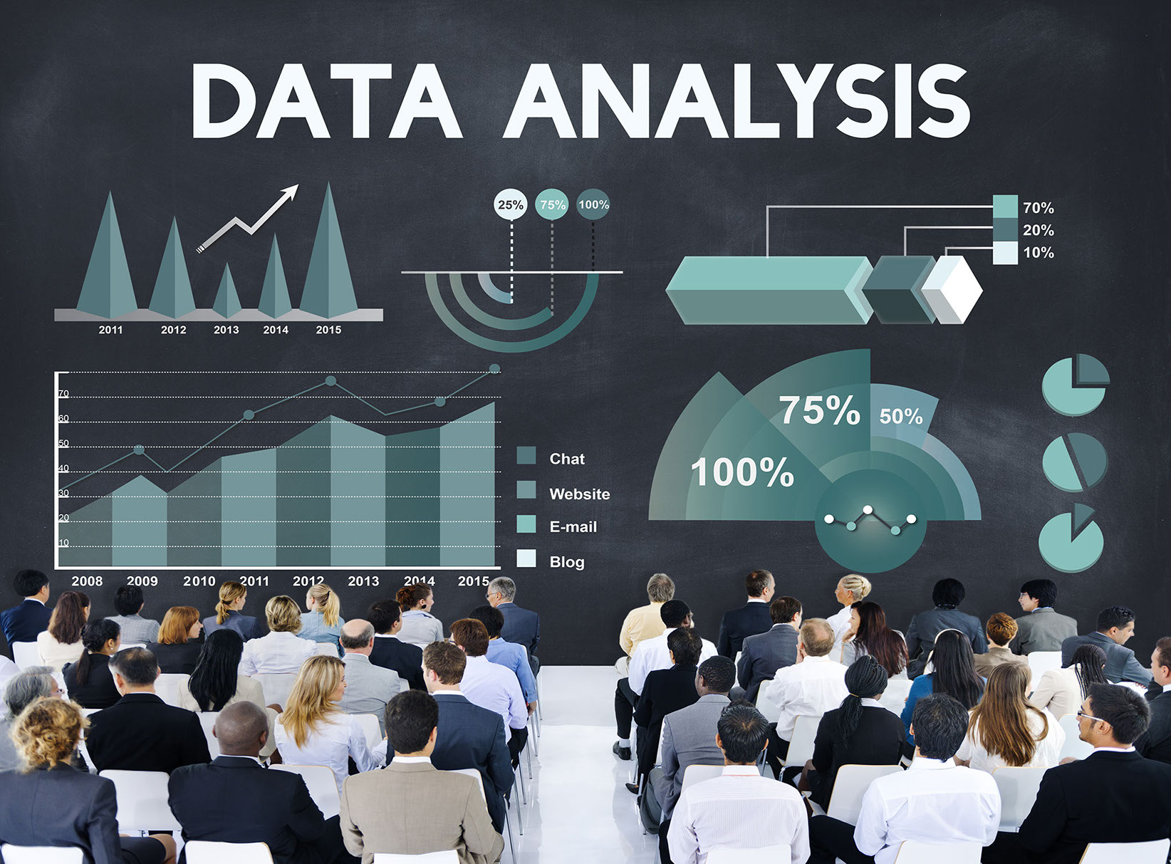 Opinion Surveys & Data Analysis